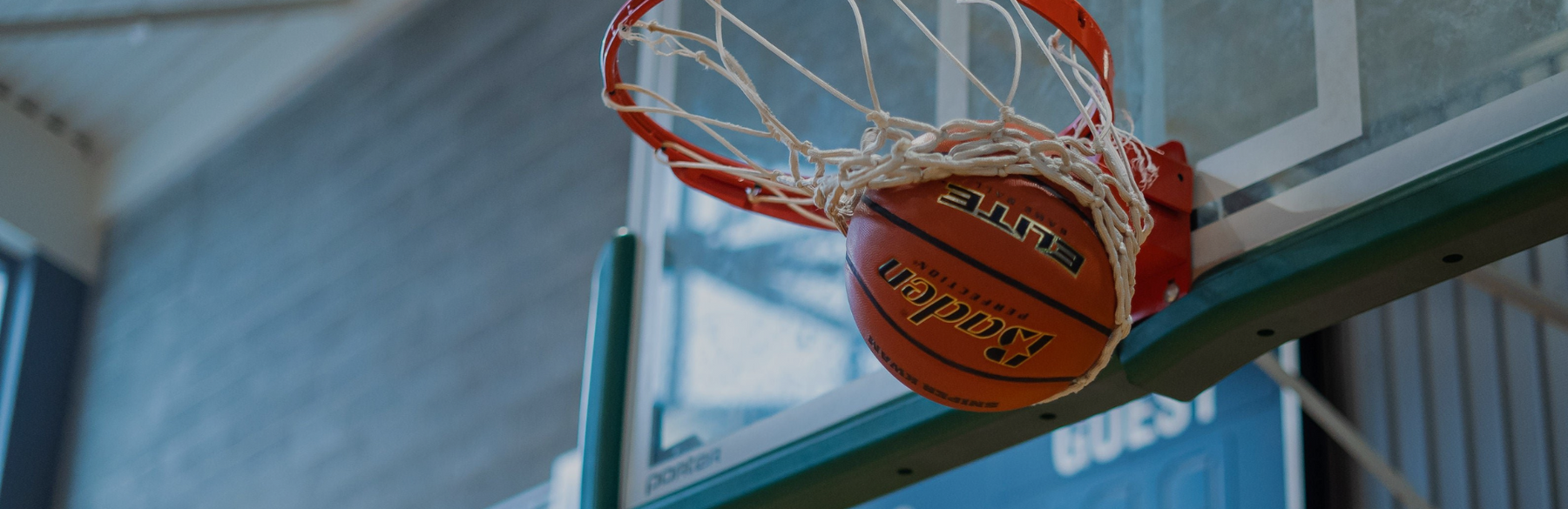 Basketballs | Custom and Personalized Basketballs | Baden Sports Canada